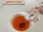 Apricot Fluff – Can't Stay Out of the Kitchen