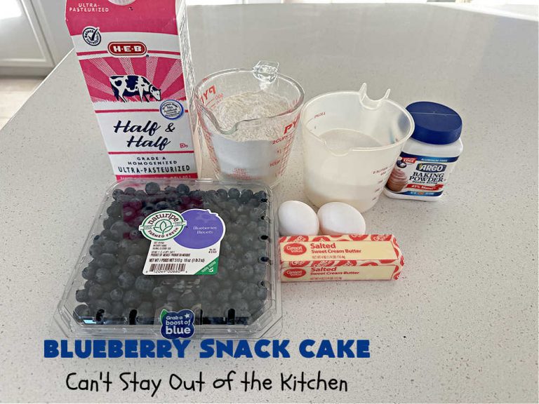 Blueberry Snack Cake – Can't Stay Out of the Kitchen