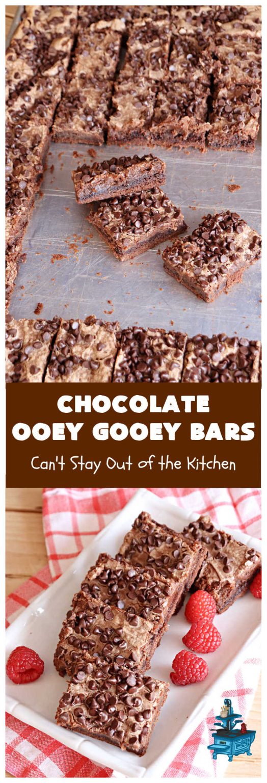 Chocolate Ooey Gooey Bars – Can't Stay Out of the Kitchen