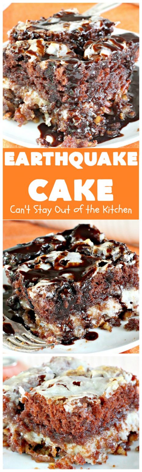 Earthquake Cake – Can't Stay Out of the Kitchen