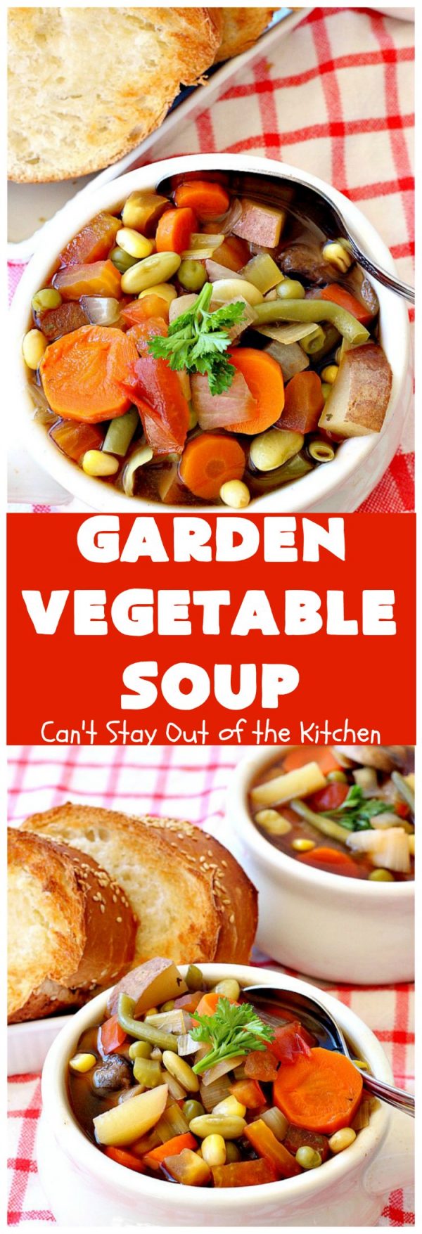 Garden Vegetable Soup – Can't Stay Out of the Kitchen