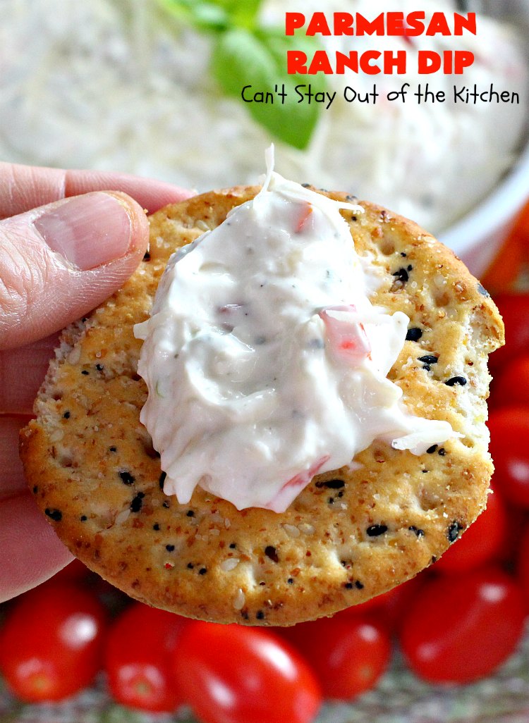 Parmesan Ranch Dip – Can't Stay Out of the Kitchen