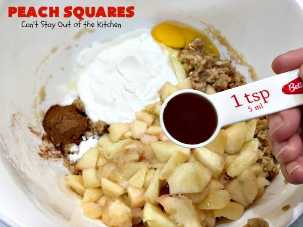 Peach Squares – Can't Stay Out of the Kitchen