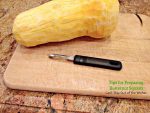 Tips for Preparing Butternut Squash – Can't Stay Out of the Kitchen