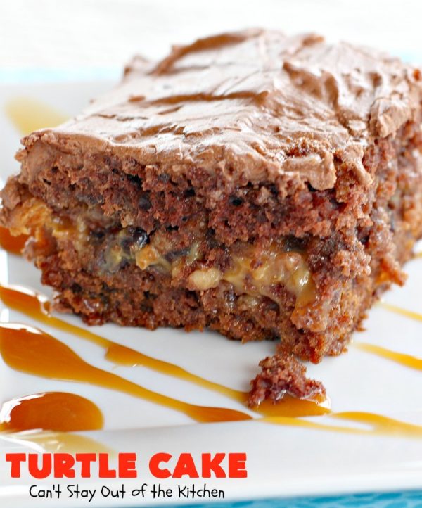 Turtle Cake – Can't Stay Out of the Kitchen