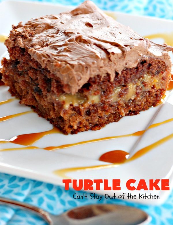 Turtle Cake – Can't Stay Out of the Kitchen