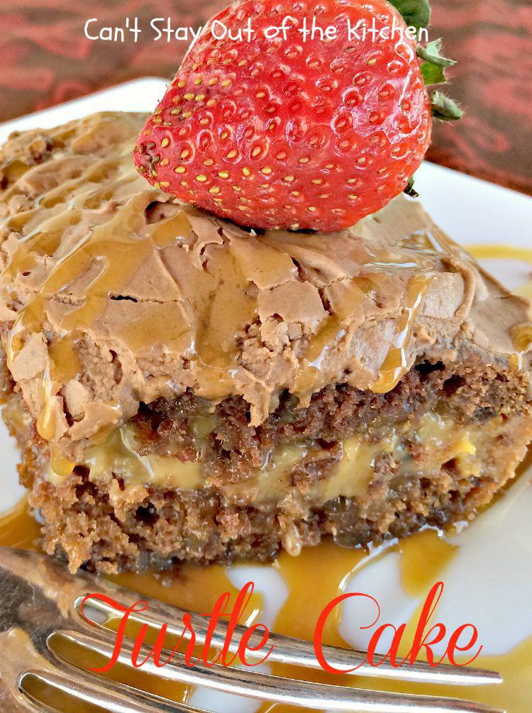 Turtle Cake | Can't Stay Out Of The Kitchen | Bloglovin’